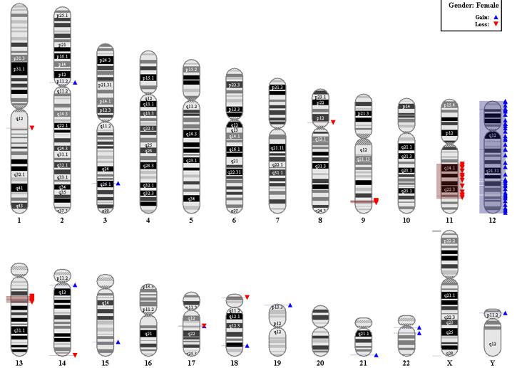 Molecular Detection And Analysis Of Cancer Cancerquest